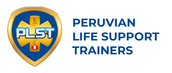 Principios y valores – PLST