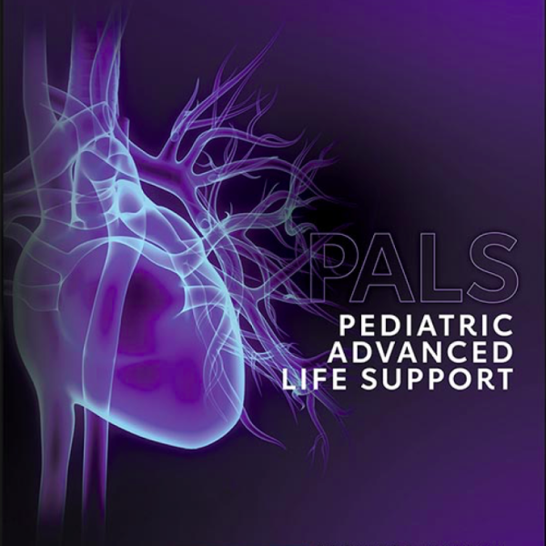 PALS – Soporte Vital Avanzado Pediátrico – PLST